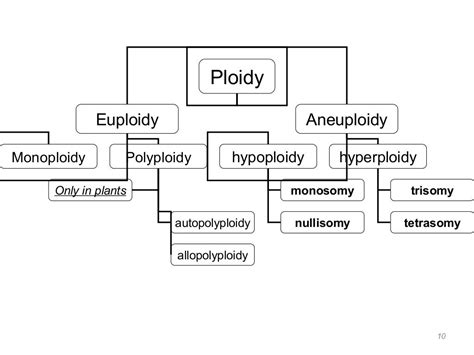 Ploidy Presentation