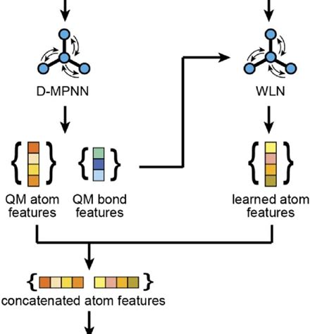 Schematic Overview Of The Ml Qm Gnn Model Architecture Wln Denotes The