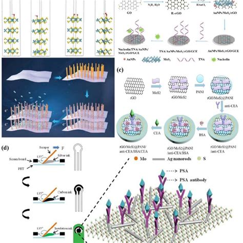 A Various Crystal Structures Of Mos2 1t 2h 3r 2t 34 Copyright