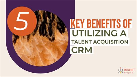 5 Benefits Of A Talent Acquisition Crm Recruit Rooster