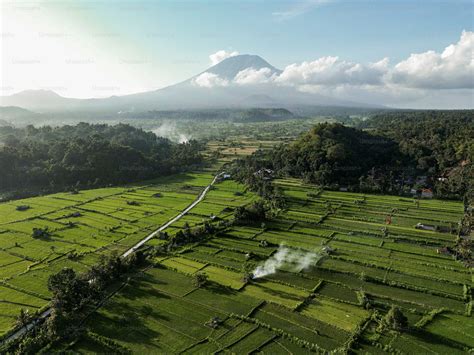 산을 배경으로 한 논밭의 조감도 사진 Unsplash의 여행하다 이미지