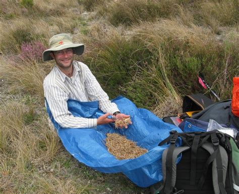 Surprisingly Decomposition Of Leaf Litter In Nature Is Not Affected By
