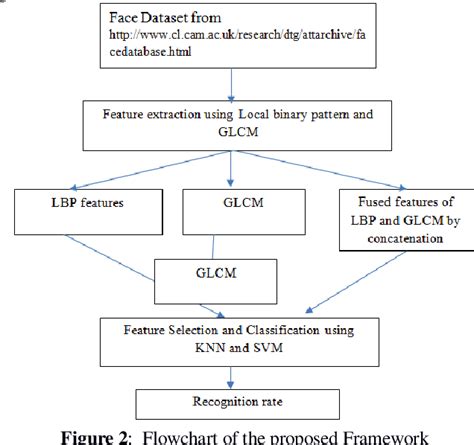 Figure 2 From Face Recognition Using Fused Spatial Patterns Semantic