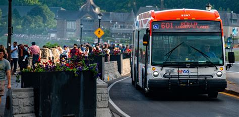 Niagara Pre Emptively Declares A State Of Emergency In Anticipation Of Massive Solar Eclipse Crowds