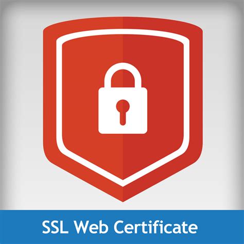 Add On SSL Certificate Specialty Toys Network Website Services For Toy Stores And Toy