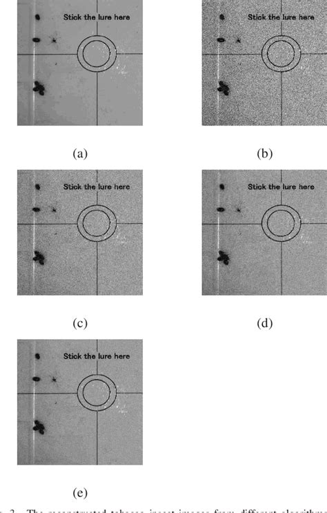 figure 1 from the curvelet compressed sensing denoising algorithm for tobacco insect images