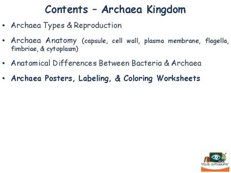 Archaea Kingdom And Organism Classifications Lessons Exam Prep 2025 26