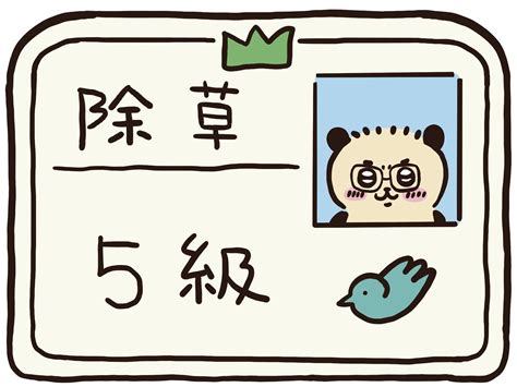 星期二準備帶吉伊卡哇的除草證去了