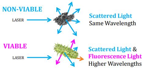 Real Time Microbial And Total Particle Detection System