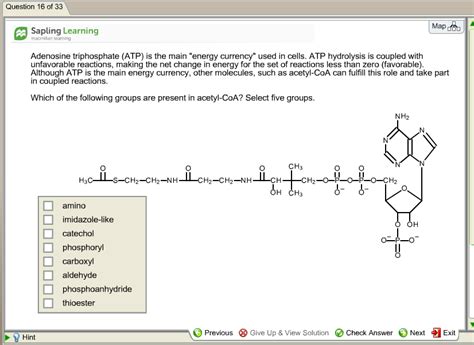 Solved Question 16 Of 33 Map Sapling Learning Adenosine T