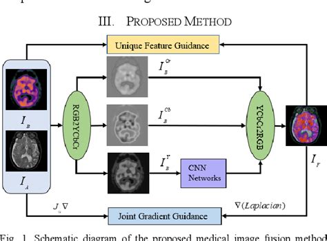 Figure From A Medical Image Fusion Method Based On Unique Features Guidance And Deep