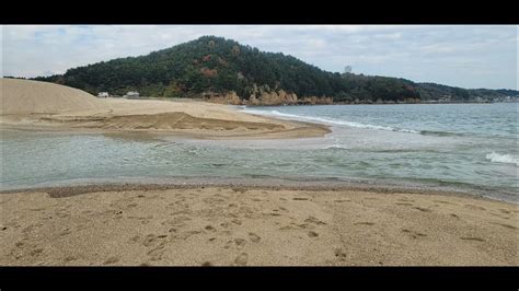 염전해변 남대천과 왕피천 졸복 학꽁치 투망상황 24년11월15일 13시00분 Youtube