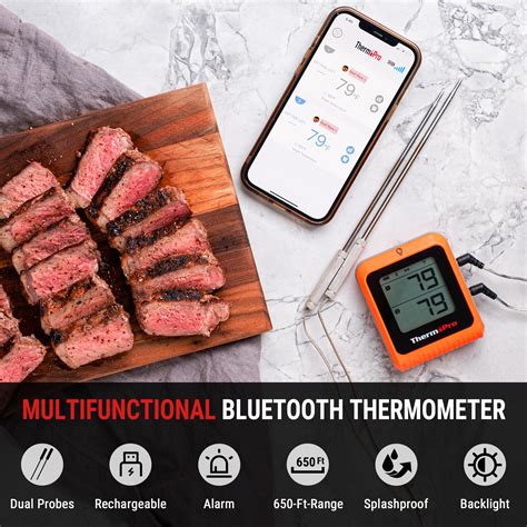 Thermopro Smart Bluetooth Grill Thermometer Bundle At Jordan Mealmaker Blog