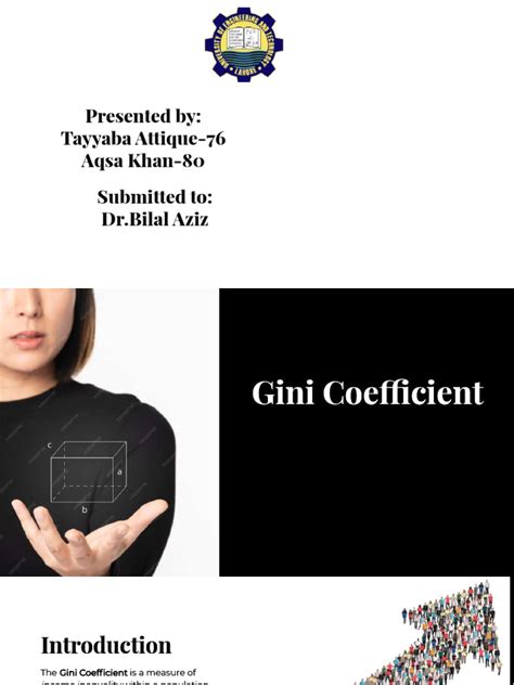 Understanding The Gini Coefficient Pdf