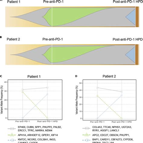 Illustration Of Clonal Evolution Of The Tumors Before And After Download Scientific Diagram