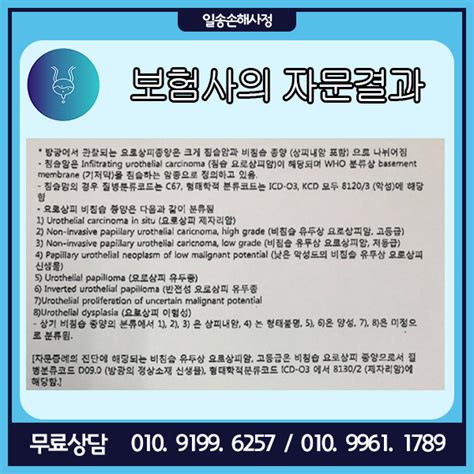 비침습방광암c67 C679 D09 보험사의 일반암 진단비 거절은 타당한가 Feat 표재성방광암 비침윤성방광암 네이버 블로그