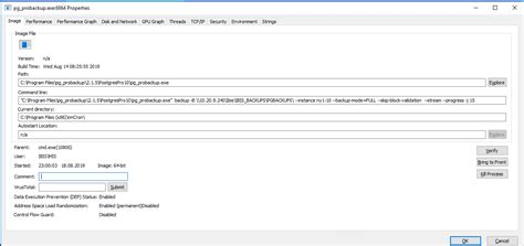 Pg Probackup Issue