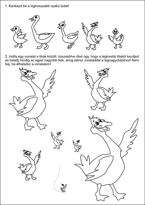 Ovis anyagok Libás feladatok