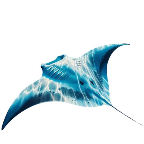 Foto Realista Ilustración De Mantarraya Elegante Y Majestuosa Png