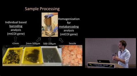 Dna Barcoding And Metabarcoding Reveal Diversity In Cryptic Benthic Communities Youtube