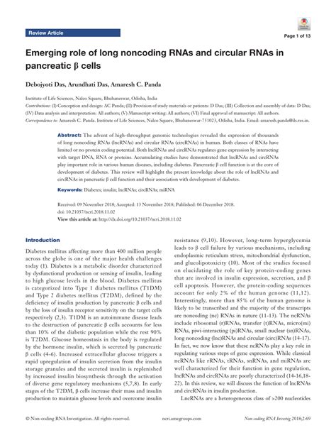 Pdf Emerging Role Of Long Noncoding Rnas And Circular Rnas In Pancreatic β Cells