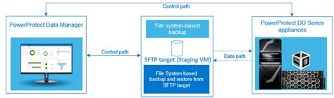 Data Protection For Powerstore With Powerprotect Dd Series Appliances