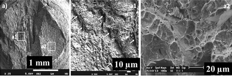Figure 12 From A Review Of Factors Affecting Scc Initiation And