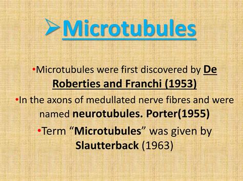 Microtubules And Filamentspptx 2 Ppsx