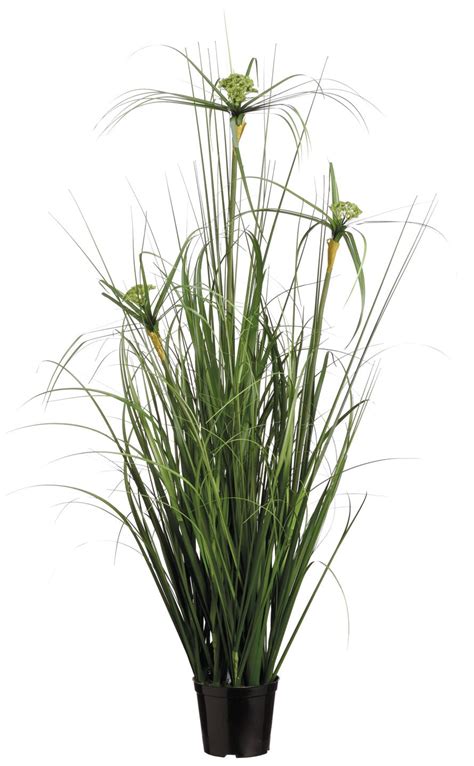 Cypress Grass Bush In Grow Pot 40h Ldf Silk