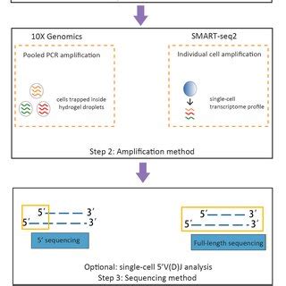 Overview Of ScRNA Seq Technology In Study Of T Cells T Cells Are Download Scientific Diagram