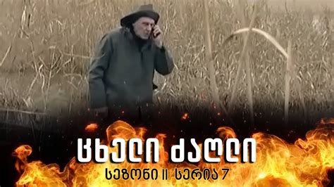 ცხელი ძაღლი სეზონი 2 სერია 7 Youtube