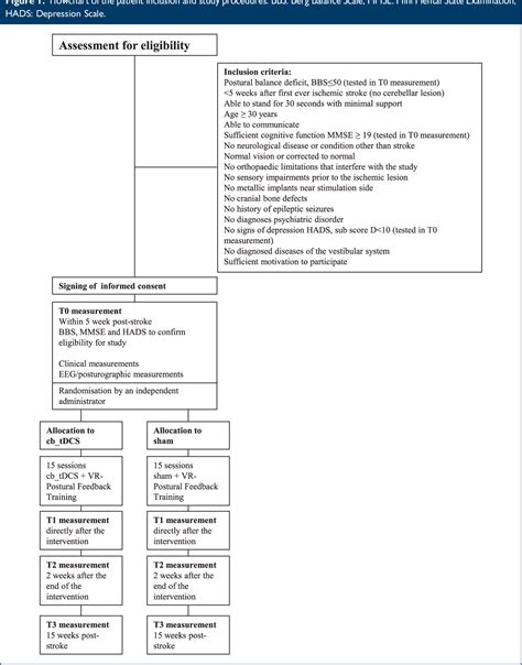 Figure 1 From The Effect Of Cerebellar Transcranial Direct Current