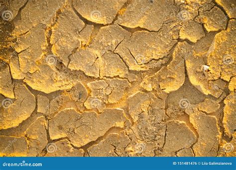 Ci Rrese Para Arriba De La Tierra Agrietada Foto De Archivo Imagen De