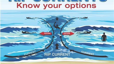 How To Escape A Rip Current Fox 10 Phoenix