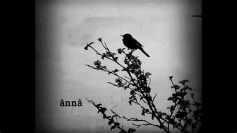 گنجشکک اشی مشی پری زنگنه Youtube