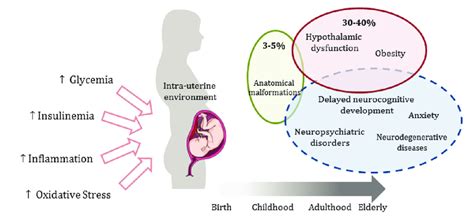 Gestational Diabetes Pathophysiology Diagram Free Pathophysiology Diabetes Cliparts Download