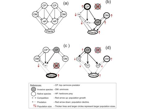 Hypothetical Food Interaction Webs With Co Occurring Native And