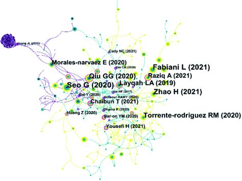 Reference Analysis Of Electrochemical Biosensors In Sars Cov 2