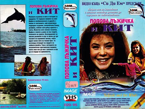 Попова лъжичка и кит Кварталната Видеотека