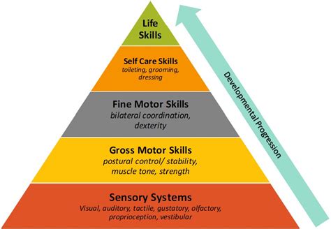What Are Motor Sensory Skills At Ricky Cortes Blog