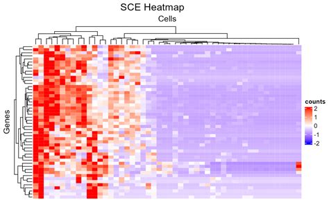 Heatmap Visualization • Singlecelltk