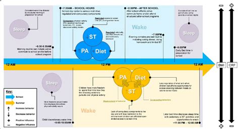 Structured Day Hypothesis Conceptual Model Download Scientific Diagram