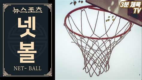 3분 체육 영역형경쟁 넷볼 뉴스포츠 체육수업 Youtube