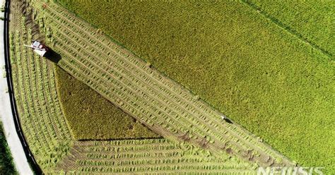 코로나 블루 농촌여행으로 푸세요