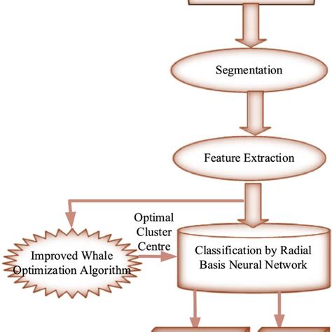 Multimodal Medical Image Datasets Download Scientific Diagram