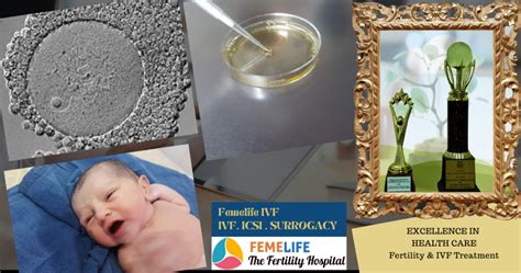 Platelet Rich Plasma PRP Procedure For IVF Femelife IVF