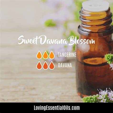 What Does Davana Essential Oil Smell Like Plus Diffuser Blends
