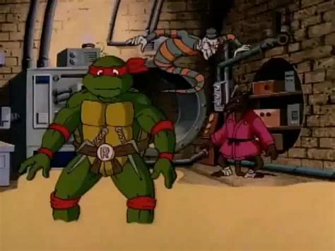 Yarn Do Something Master Splinter Teenage Mutant Ninja Turtles