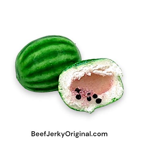 Watermelon Fizzy Bubble Gum 200 Pack Tangy Refreshing And Fun Bubble Blowing Gum