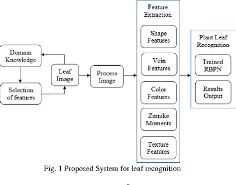 Figure 1 From A Leaf Recognition Technique For Plant Classification
